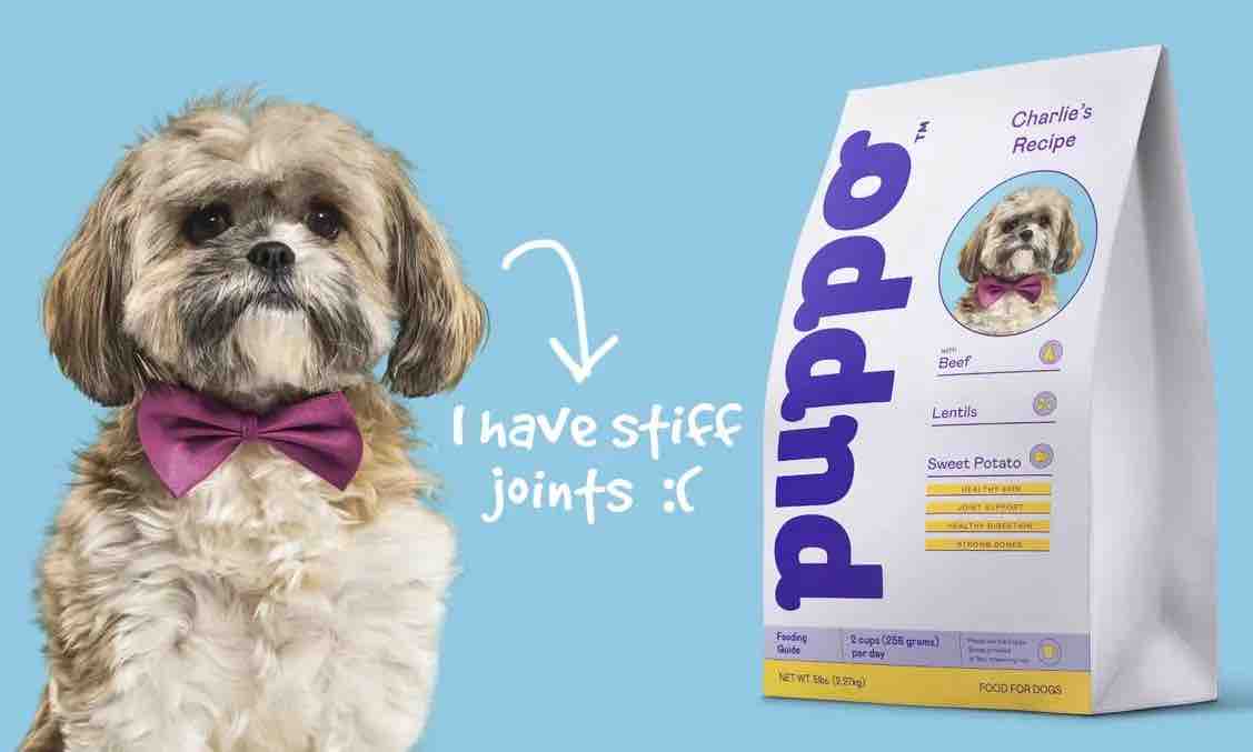 Who's a Good Boy? - Erin Bosik